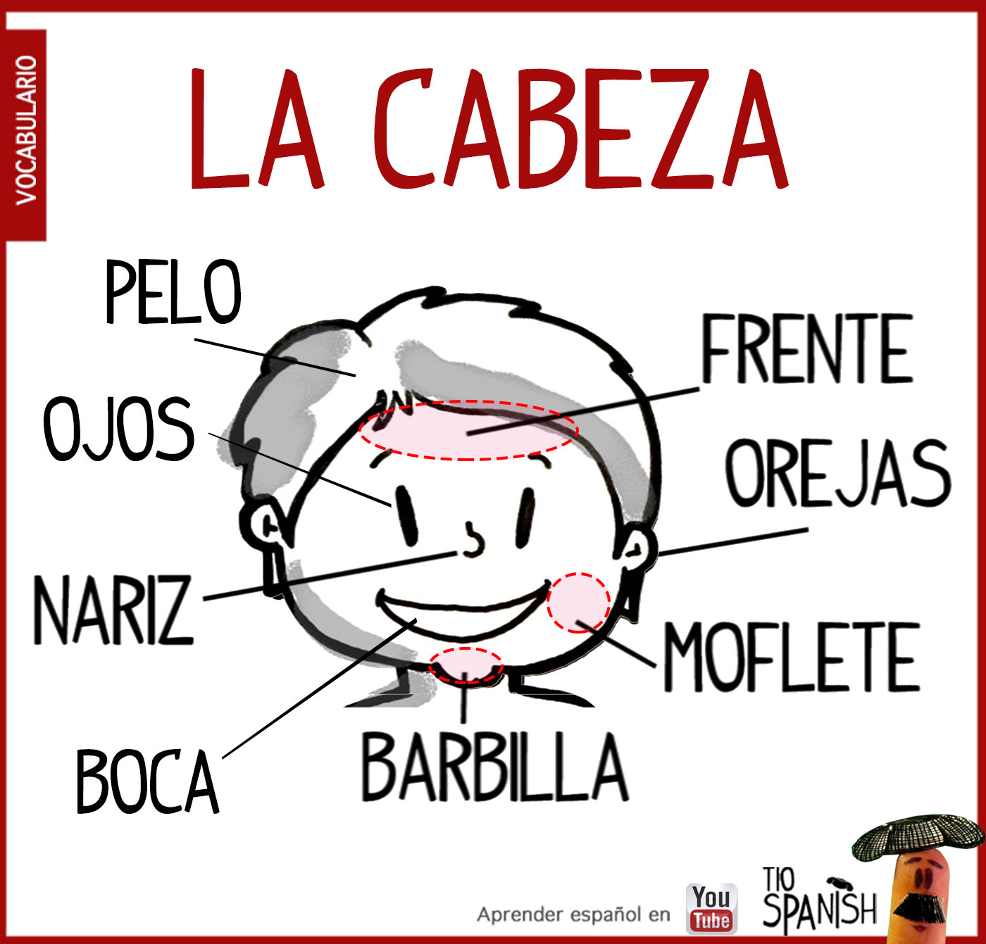 Las partes del cuerpo en español, vocabulario intermedio español