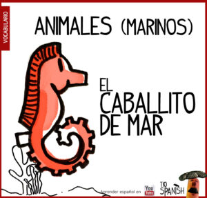 Vocabulario animales en español - Tio Spanish