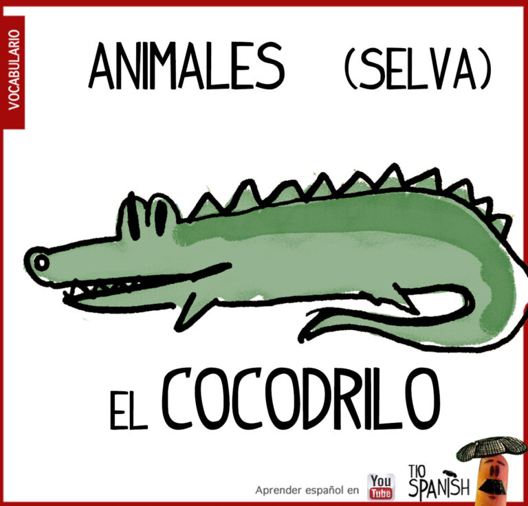 Los animales español, aprender vocabulario intermedio, videos y fichas
