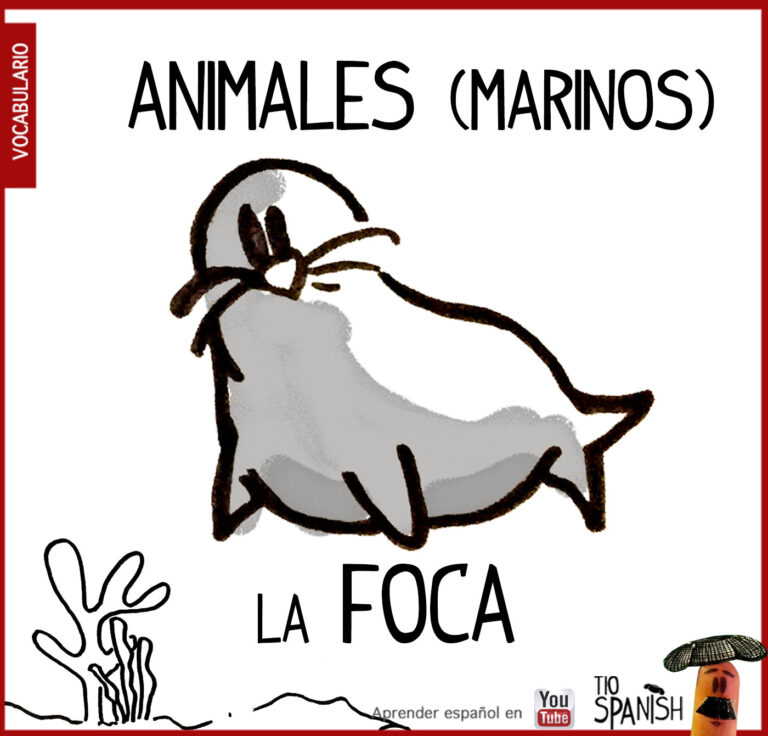 Vocabulario animales en español - Tio Spanish