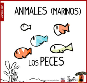 Los animales español, aprender vocabulario intermedio, videos y fichas